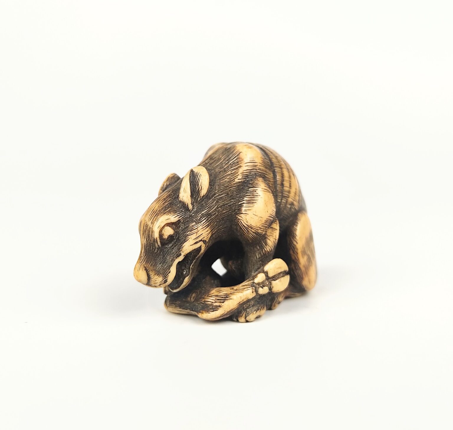 japanese antique Carved Ivory NETSUKE of wolf – Antique Nishikawa